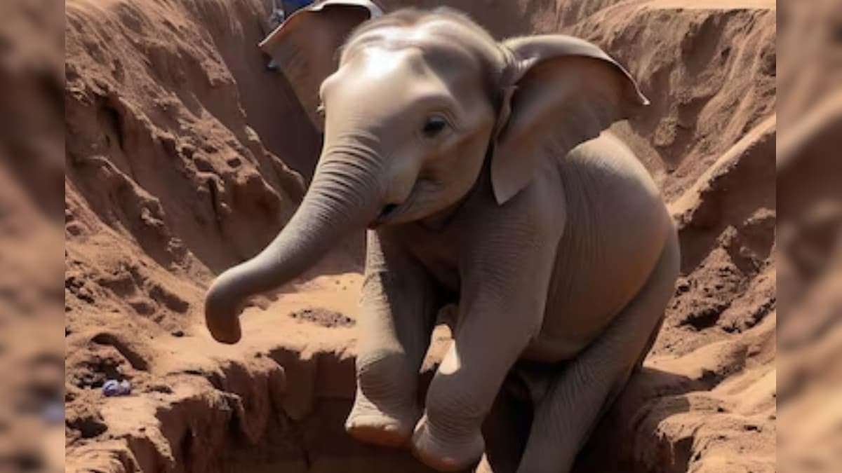 baby elephant rescued from 30 feet deep pit in tamil nadu forest her ...