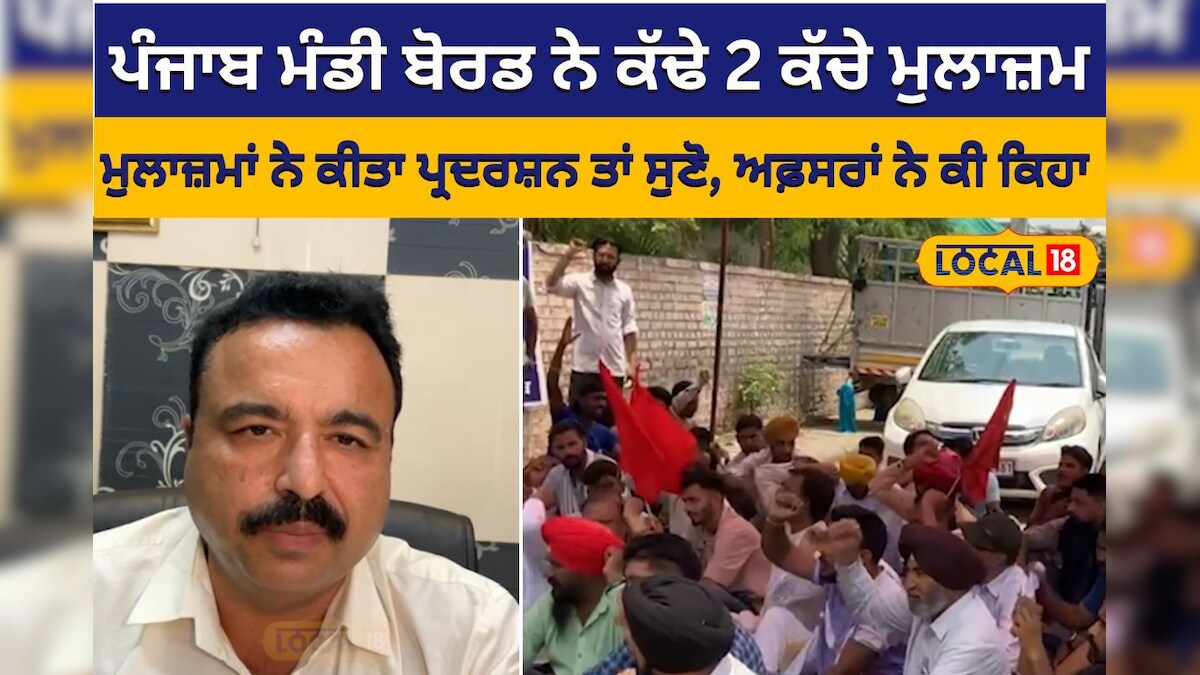 Punjab mandi board terminated two employees sitting on protest what did ...