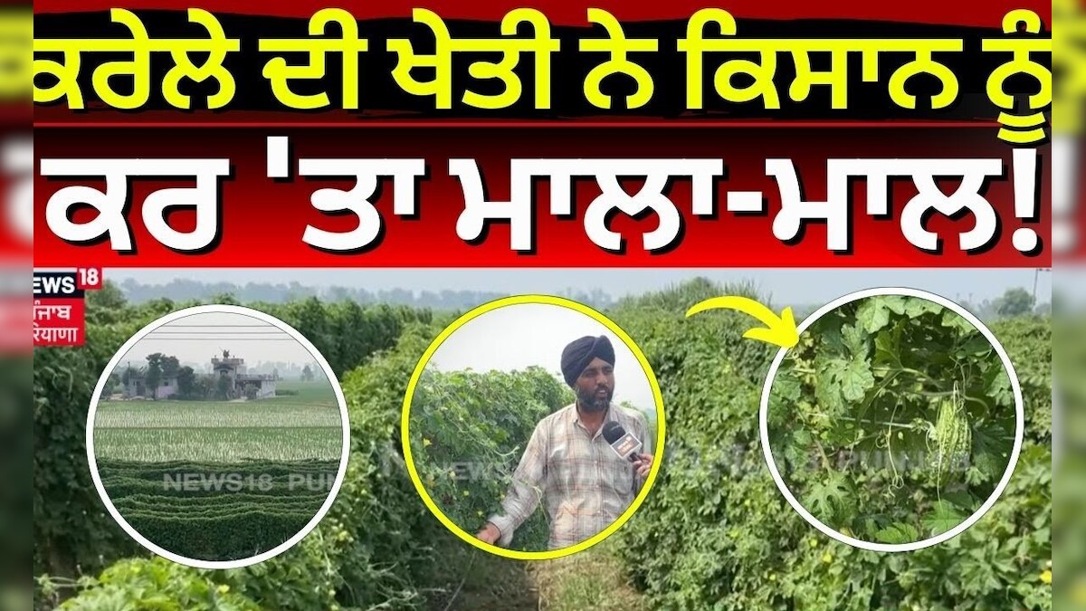 Beas News | ਕਰੇਲੇ ਦੀ ਖੇਤੀ ਨੇ ਕਿਸਾਨ ਨੂੰ ਕਰ 'ਤਾ ਮਾਲਾ-ਮਾਲ! ਔਰਗੈਨਿਕ ਫਸਲ 'ਤੇ ...