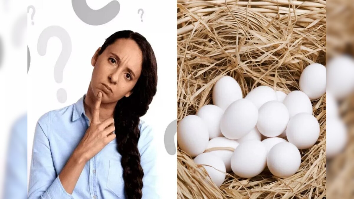 GK: ਦੁਨੀਆ ਦਾ ਉਹ ਇਕਲੌਤਾ ਜੀਵ, ਜਿਸ ਦੇ ਬੱਚੇ ਅੰਡੇ ਤੋਂ ਬੋਲਣਾ ਸ਼ੁਰੂ ਕਰ ਦਿੰਦੇ ਹਨ, ਨਾਮ ਜਾਣ ਕੇ ਹੋ ਜਾਓਗੇ ...