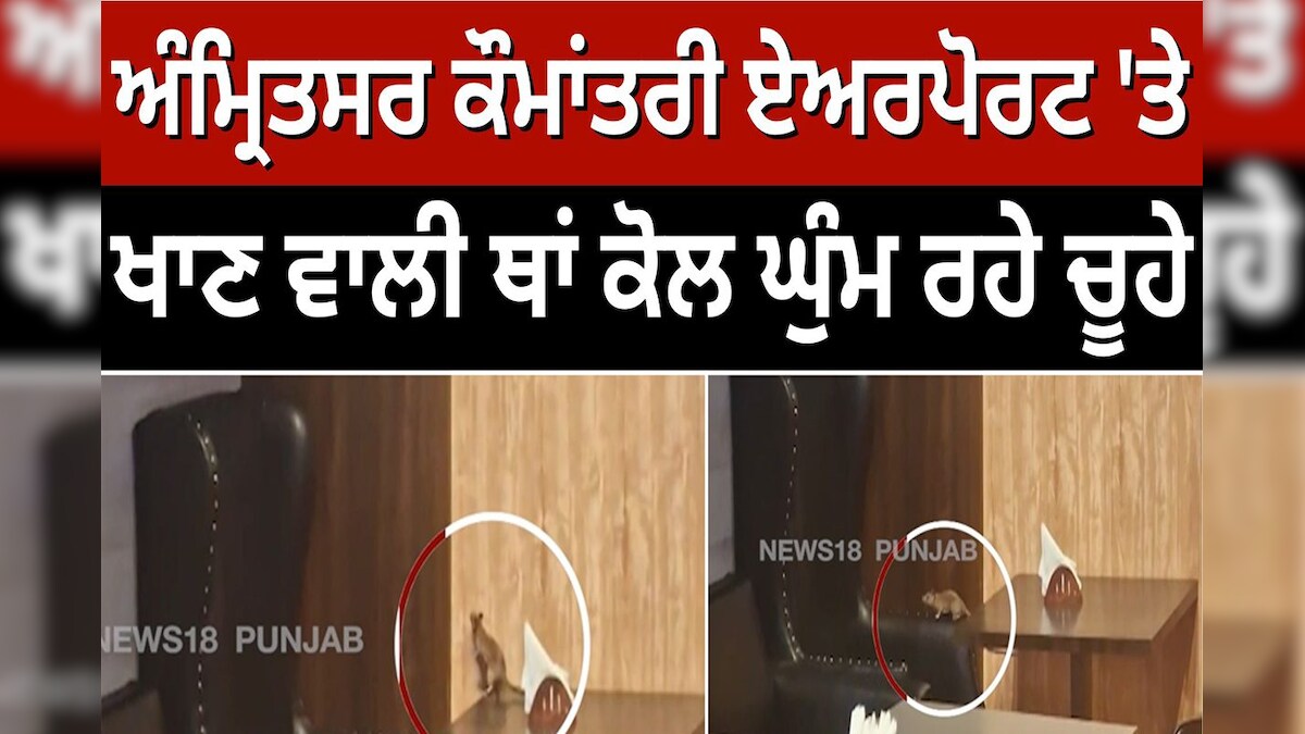 ਅੰਮ੍ਰਿਤਸਰ ਕੌਮਾਂਤਰੀ ਏਅਰਪੋਰਟ 'ਤੇ ਘੁੰਮ ਰਹੇ ਵੱਡੇ-ਵੱਡੇ ਚੂਹੇ, ਯਾਤਰੀ ਨੇ ਵਾਇਰਲ ...