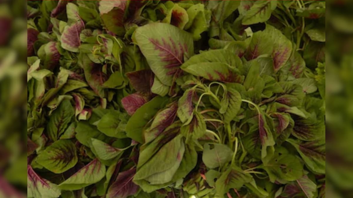 7 amazing health benefits of chaulai saag or amaranth leaves it ...