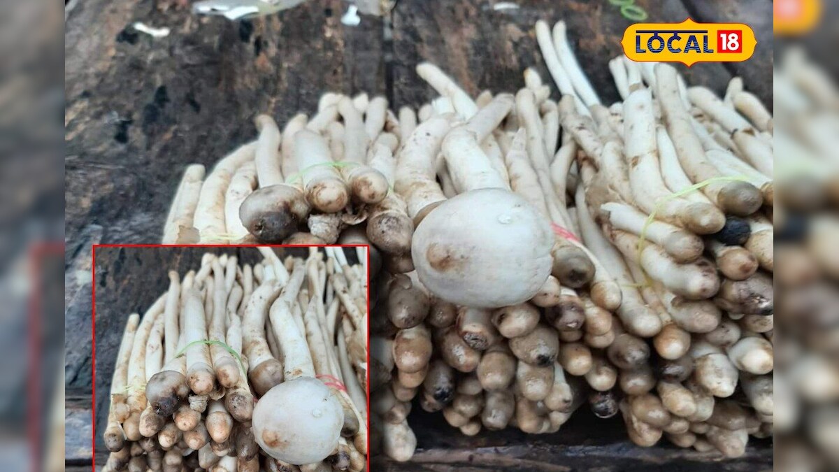 more expensive vegetable than chicken and mutton flower of the earth ...