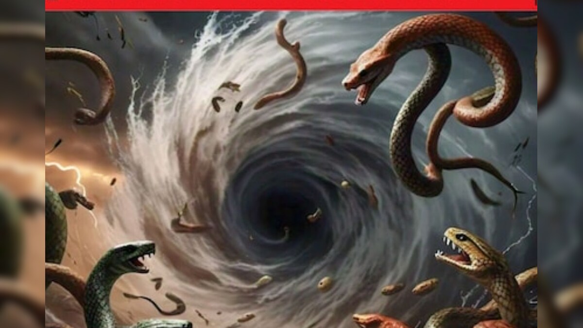 ਚੱਕਰਵਾਤੀ ਤੂਫਾਨ 'ਦਾਨਾ' ਵਿਚ ਆ ਗਏ ਇੰਨੇ ਸੱਪ, ਡਾਕਟਰ ਸਣੇ 28 ਲੋਕਾਂ ਨੂੰ ਡੰਗਿਆ ...