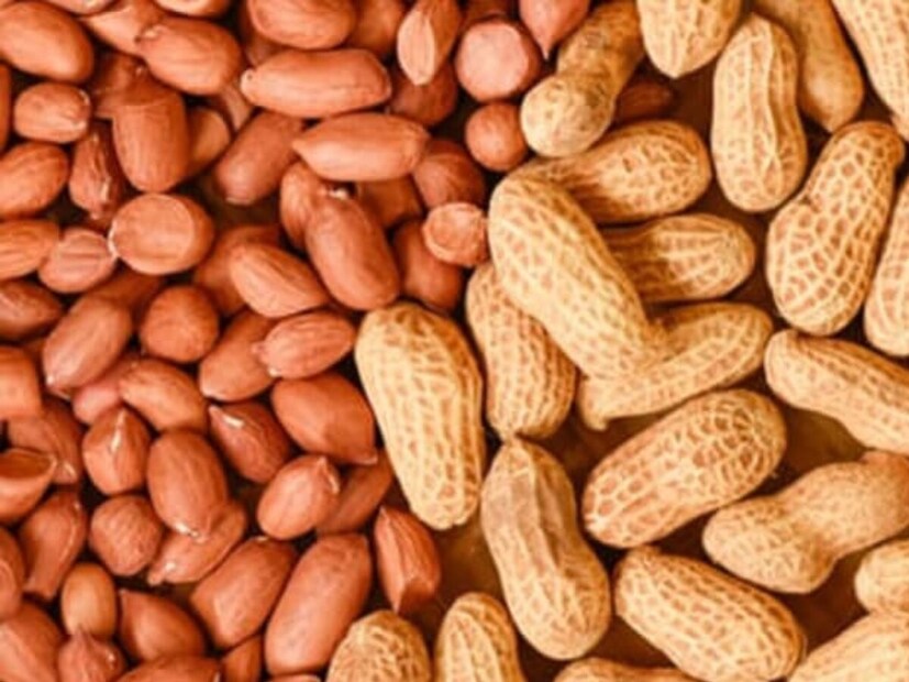 winter chai with peanuts for cholesterol control and weight loss ਸਰਦੀਆਂ ...