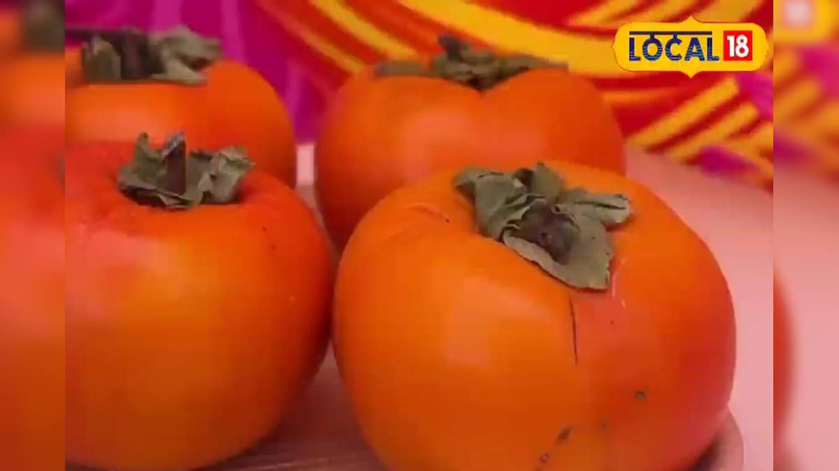 ਸੇਬ ਤੋਂ ਮਹਿੰਗਾ...ਦੇਖਣ 'ਚ ਟਮਾਟਰ ਵਰਗਾ ਲੱਗਦਾ ਹੈ ਇਹ ਫਲ, ਇੱਕ ਵਾਰ ਲਗਾਉਣ ਕਿਸਾਨ ...