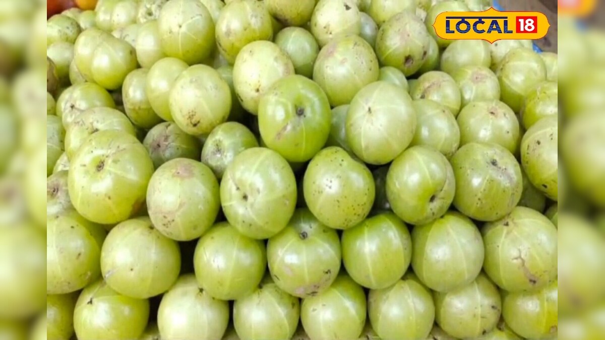 Benefits of Amla: ਸਰਦੀਆਂ ਵਿੱਚ ਰੋਜ਼ਾਨਾ ਕਰੋ ਆਂਵਲੇ ਦਾ ਸੇਵਨ, ਮਿਲਣਗੇ ਅਣਗਿਣਤ ...
