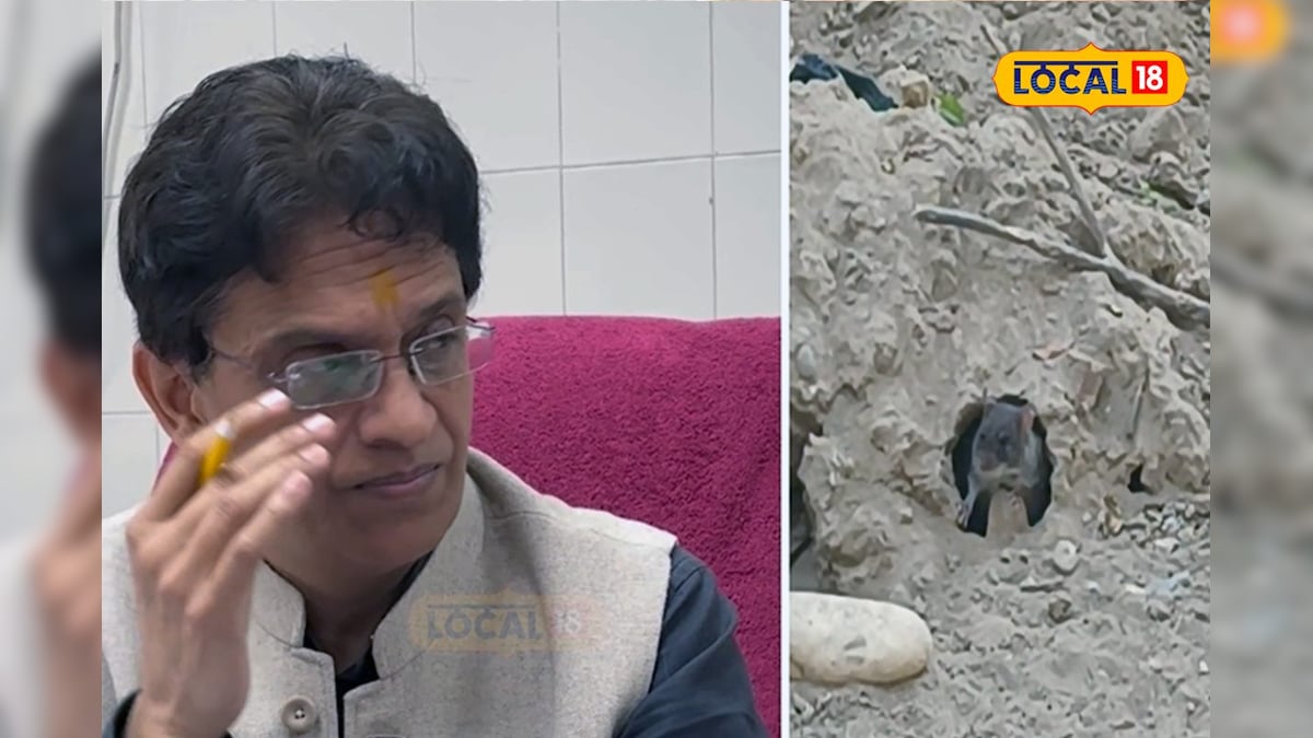 ਰਜਿੰਦਰਾ ਹਸਪਤਾਲ 'ਚ ਚੂਹਿਆਂ ਦਾ ਕਹਿਰ, ਮਰੀਜ਼ ਹੋਏ ਪਰੇਸ਼ਾਨ patients facing ...