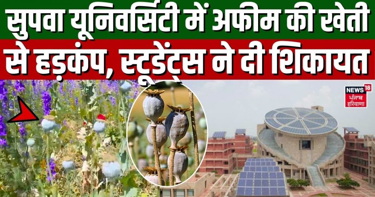 Supva University में अफीम की खेती से हड़कंप, स्टूडेंट्स ने दी शिकायत ...