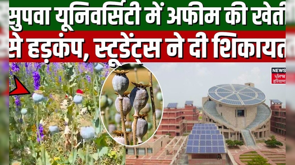 Supva University में अफीम की खेती से हड़कंप, स्टूडेंट्स ने दी शिकायत ...