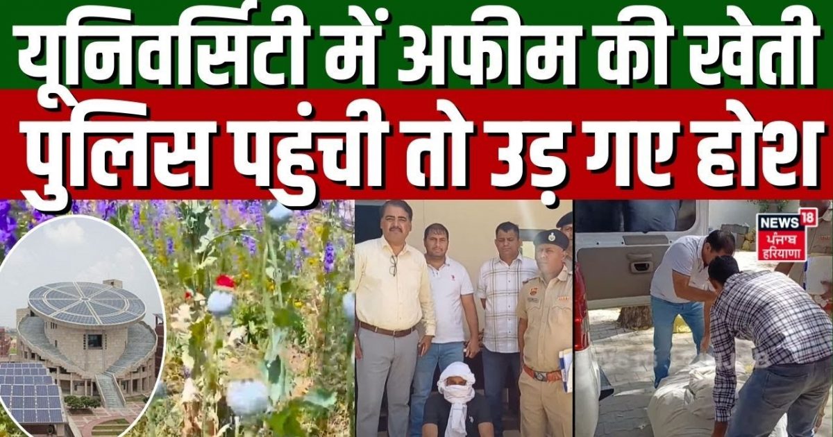 Supva University | यूनिवर्सिटी में अफीम की खेती, पुलिस पहुंची तो उड़ गए ...