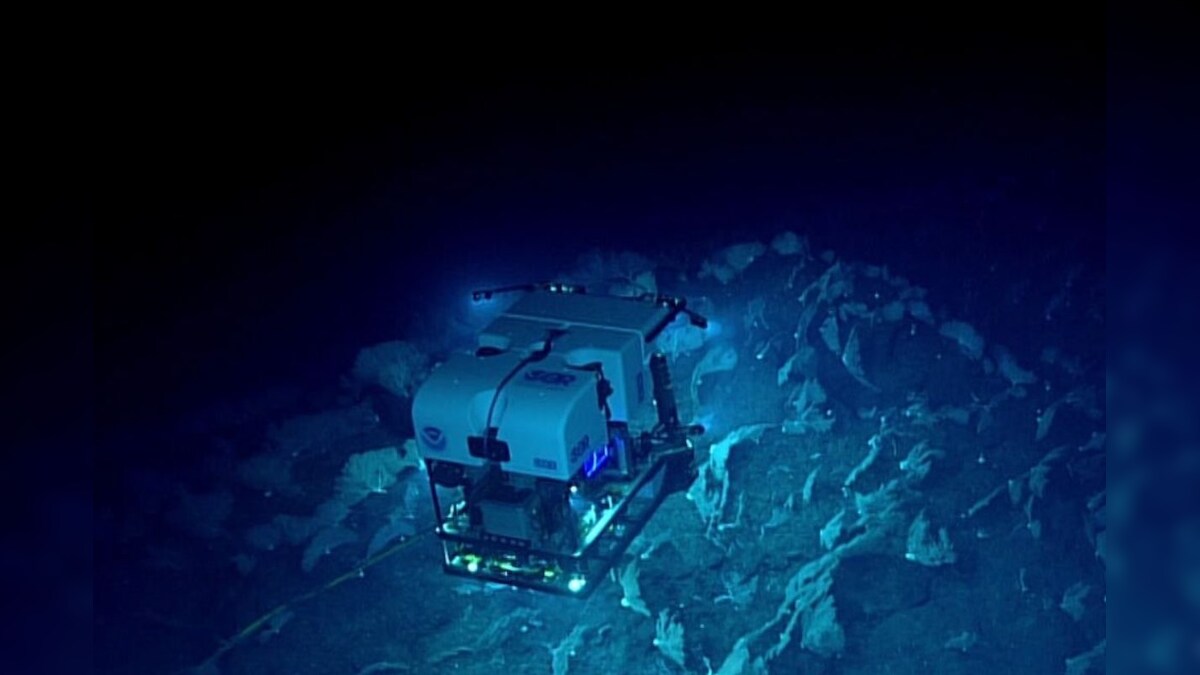 ਸਮੁੰਦਰ ਤੋਂ 6000 ਮੀਟਰ ਹੇਠਾਂ ਲੱਭੀ ਨਵੀਂ ਦੁਨੀਆ, ਹਜ਼ਾਰਾਂ ਨਵੇਂ ਜੀਵ ਦੇਖ ...