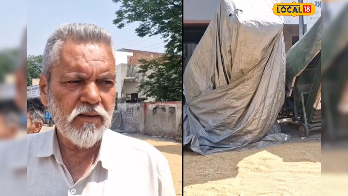 Wheat crop procurement begins Khanna Mandi yield three times more than ...