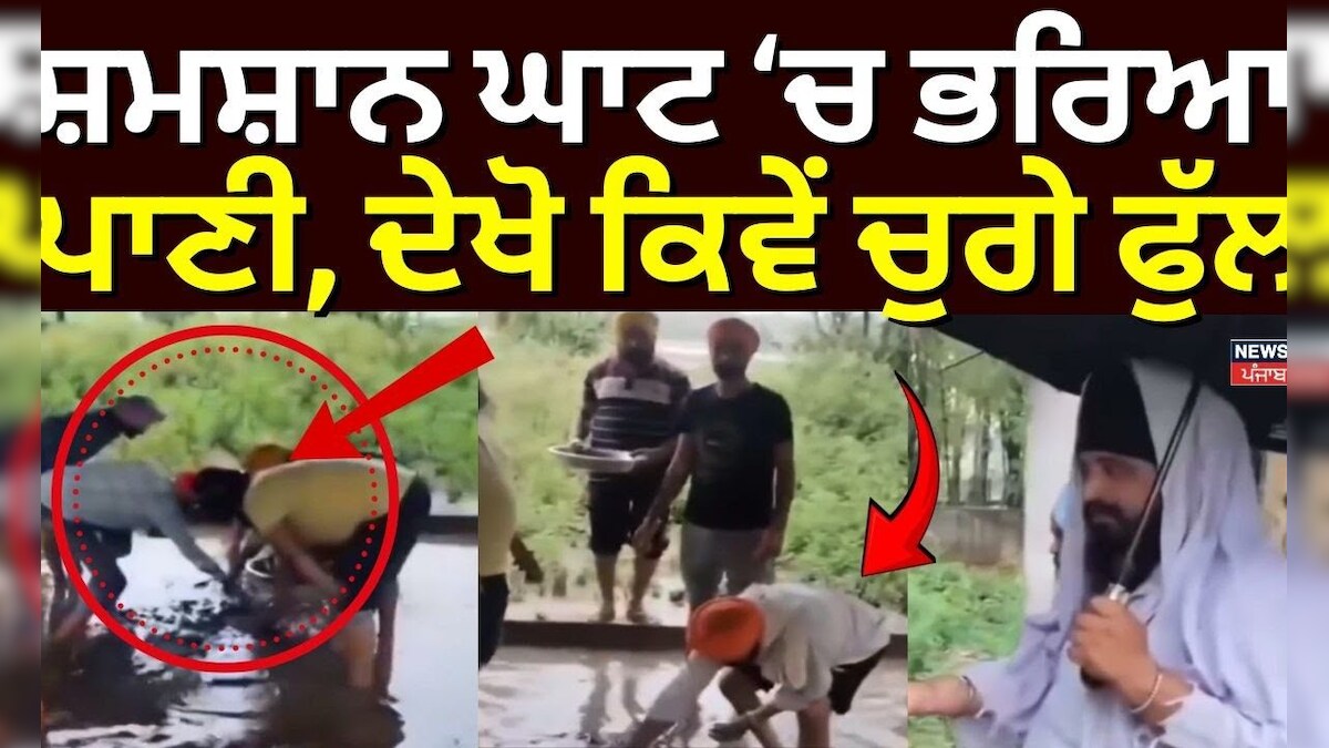 Zirakpur News | ਭਰੇ ਪਾਣੀ ਵਿਚਾਲੇ ਚੁਗੇ ਫੁੱਲ, ਦੇਖੋ ਤਸਵੀਰਾਂ | Punjab ...