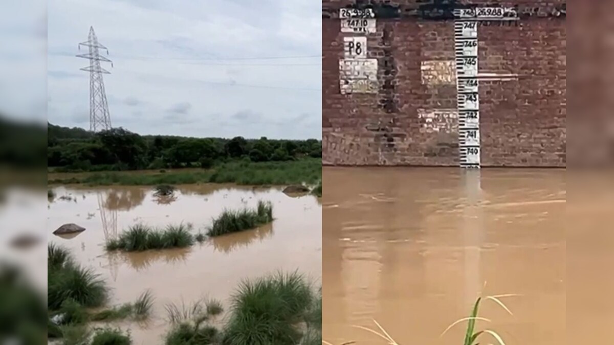 beas river water level doubles in 24 hours danger looms over low-lying ...