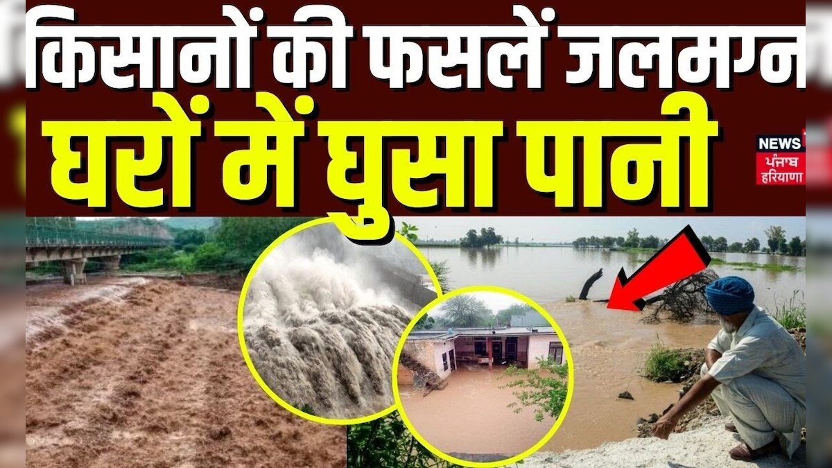 Ghaggar River Floods | किसानों की फसलें जलमग्न, घरों में घुसा पानी ...
