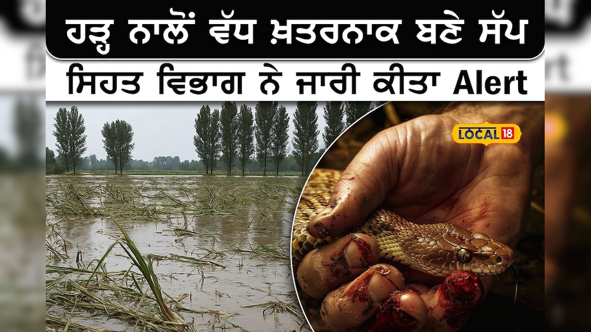 Snakes have become more dangerous than floods, Health Department issues ...