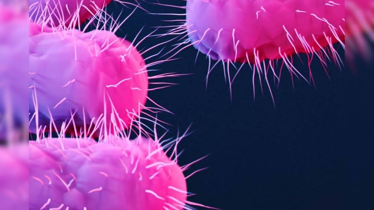 ਭਾਰਤ ਵਿੱਚ ਵੱਧ ਰਿਹਾ ਹੈ ਘਾਤਕ ਨਿਪਾਹ ਵਾਇਰਸ ਦਾ ਡਰ! ਏਸ਼ੀਆਈ ਦੇਸ਼ਾਂ ਵਿੱਚ ਹਵਾਈ ...