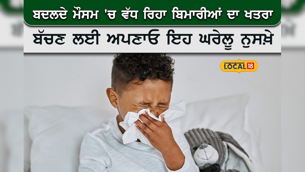 Best immunity boosting foods to prevent cold cough and viral infections ...