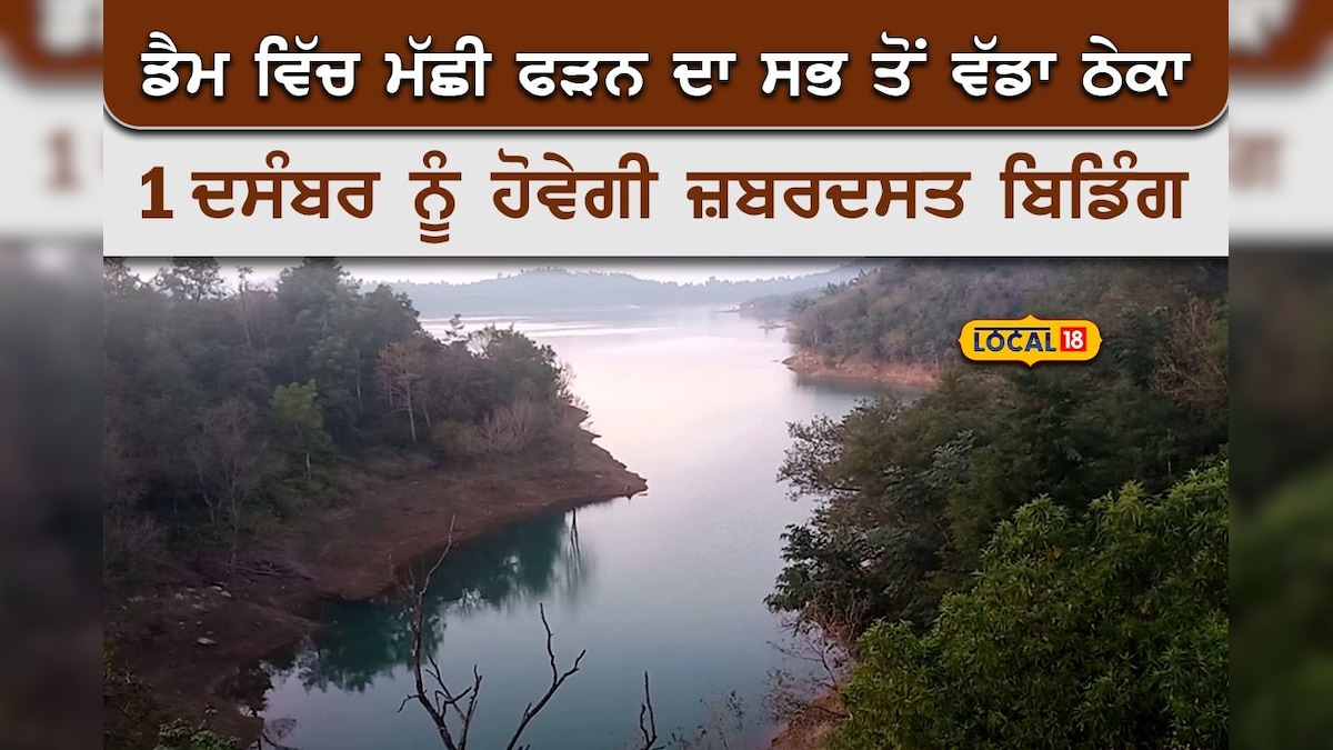 Ranjit Sagar Dam fish contract, online bidding extended, reserve price ...