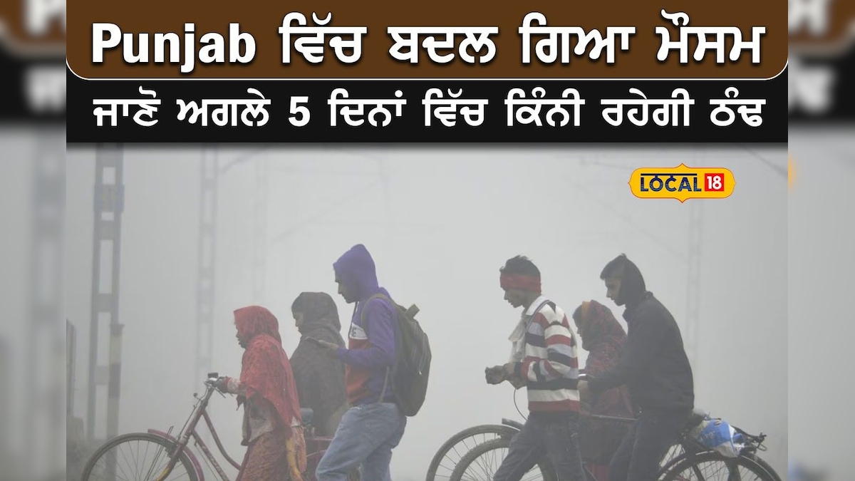 Punjab Weather Update, Temperature fluctuations, cold wave alert, fog ...