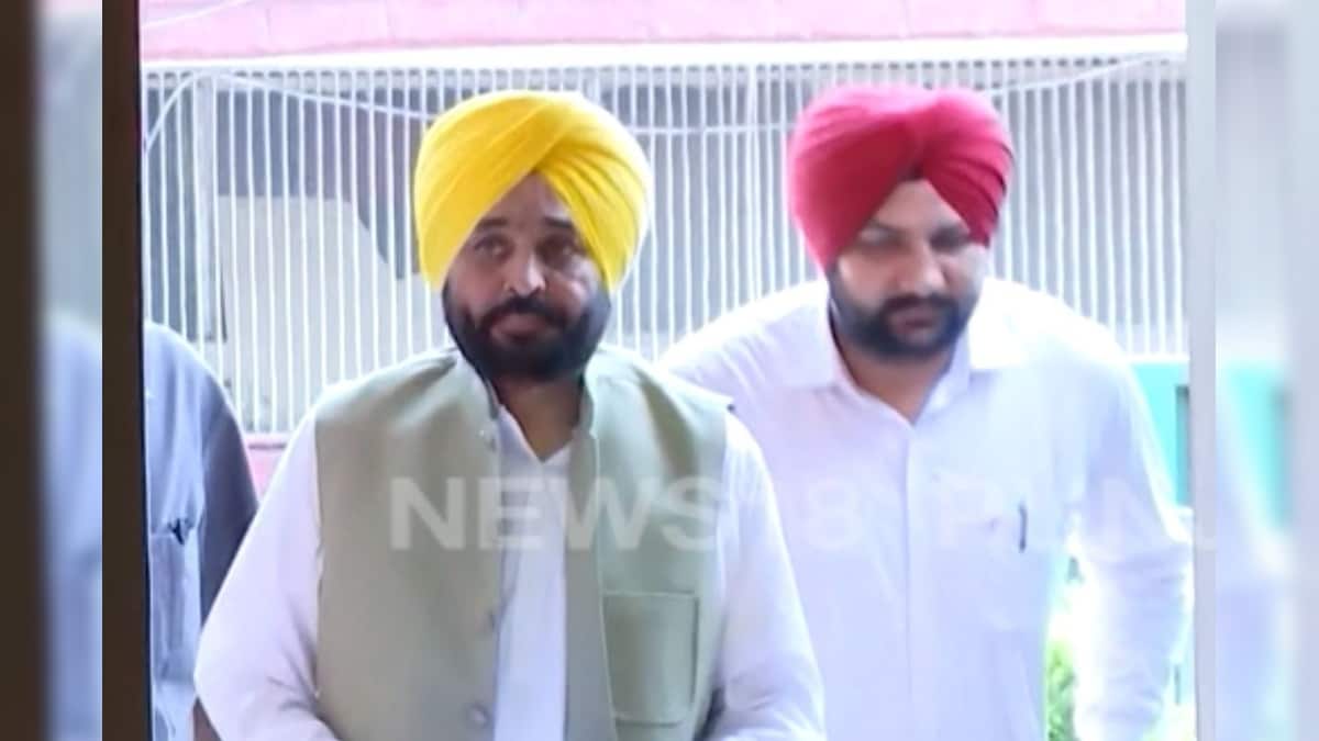 punjab cm bhagwant mann denied permission for uk israel visit by mea HS ...