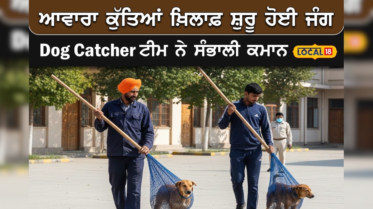 Batala dog catcher team action to control stray dogs for public safety ...