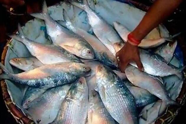 Fish from west bengal is banned in bihar | National - News18 Bangla ...