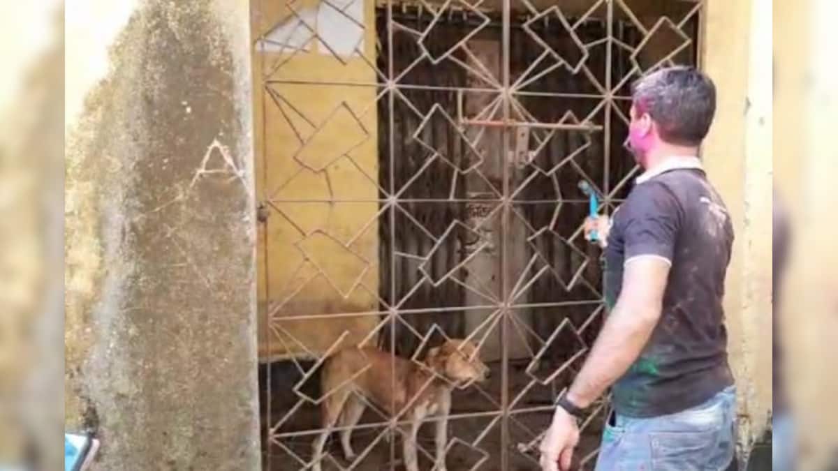 সরকারি কর্মীদের উদাসীনতা, তিনদিন তালাবন্ধ থাকার পর কুকুরকে উদ্ধার করল ...