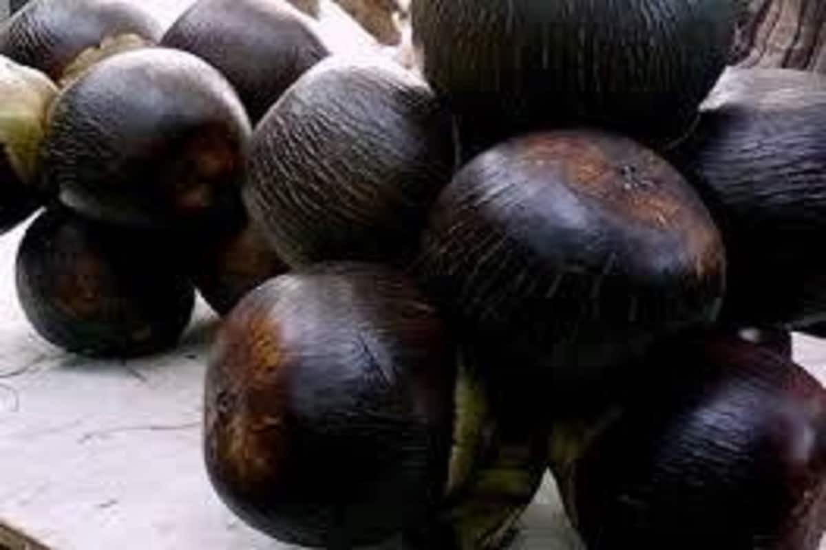 সর্দি-মাথাব্যথা-হুপিং কাশি-অনিদ্রা দূর, তালের রসে প্রচুর পরিমাণে ...