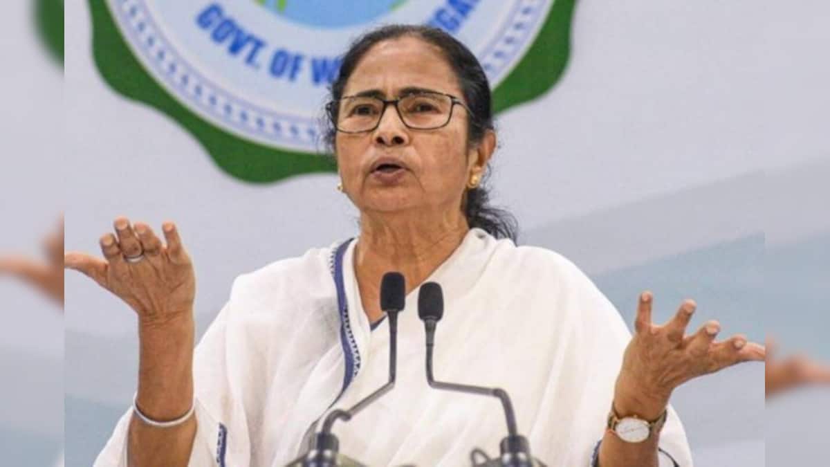 মমতার মুখে 'হাম্মা হাম্বা, রাম্বা রাম্বা' ভাইরাল, মিম বন্যায় ভাসল ...