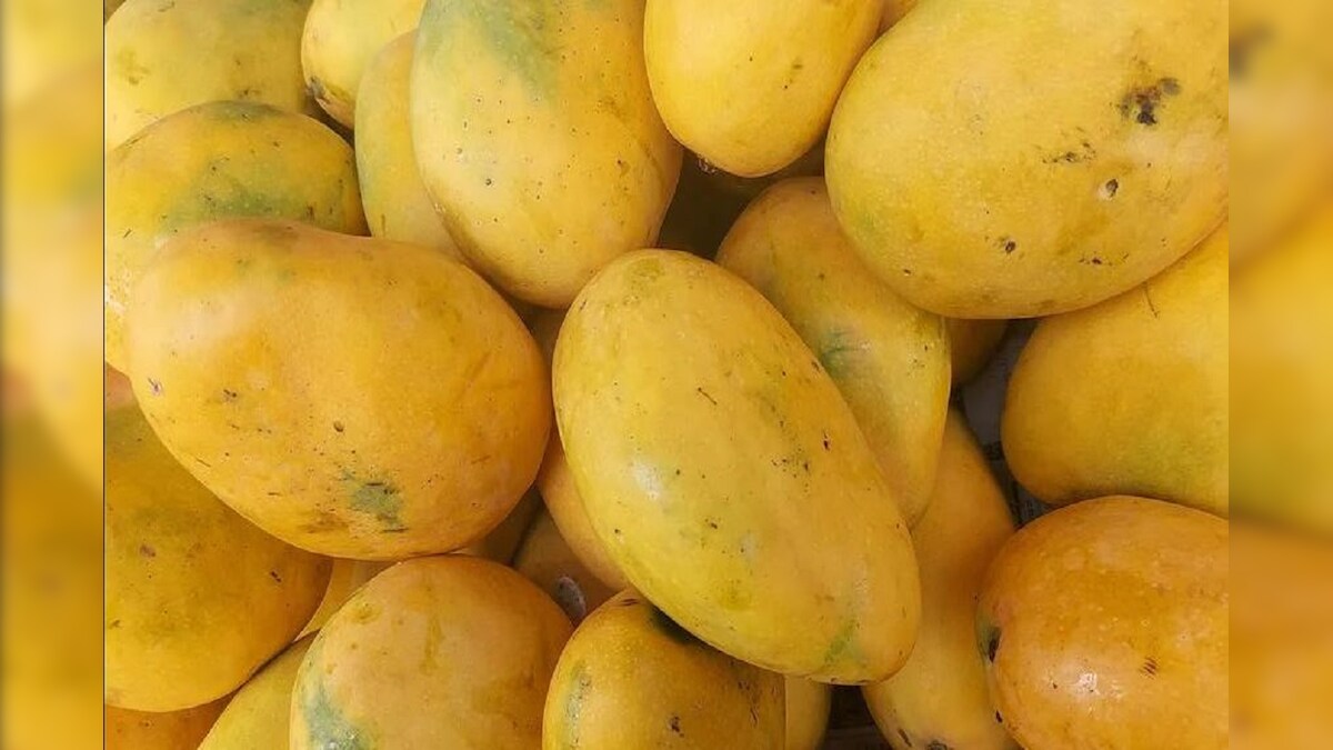 ১২ টি আম বিক্রি করে লাখপতি অনলাইন ক্লাসের জন্য স্মার্টফোন কিনল ছোট্ট