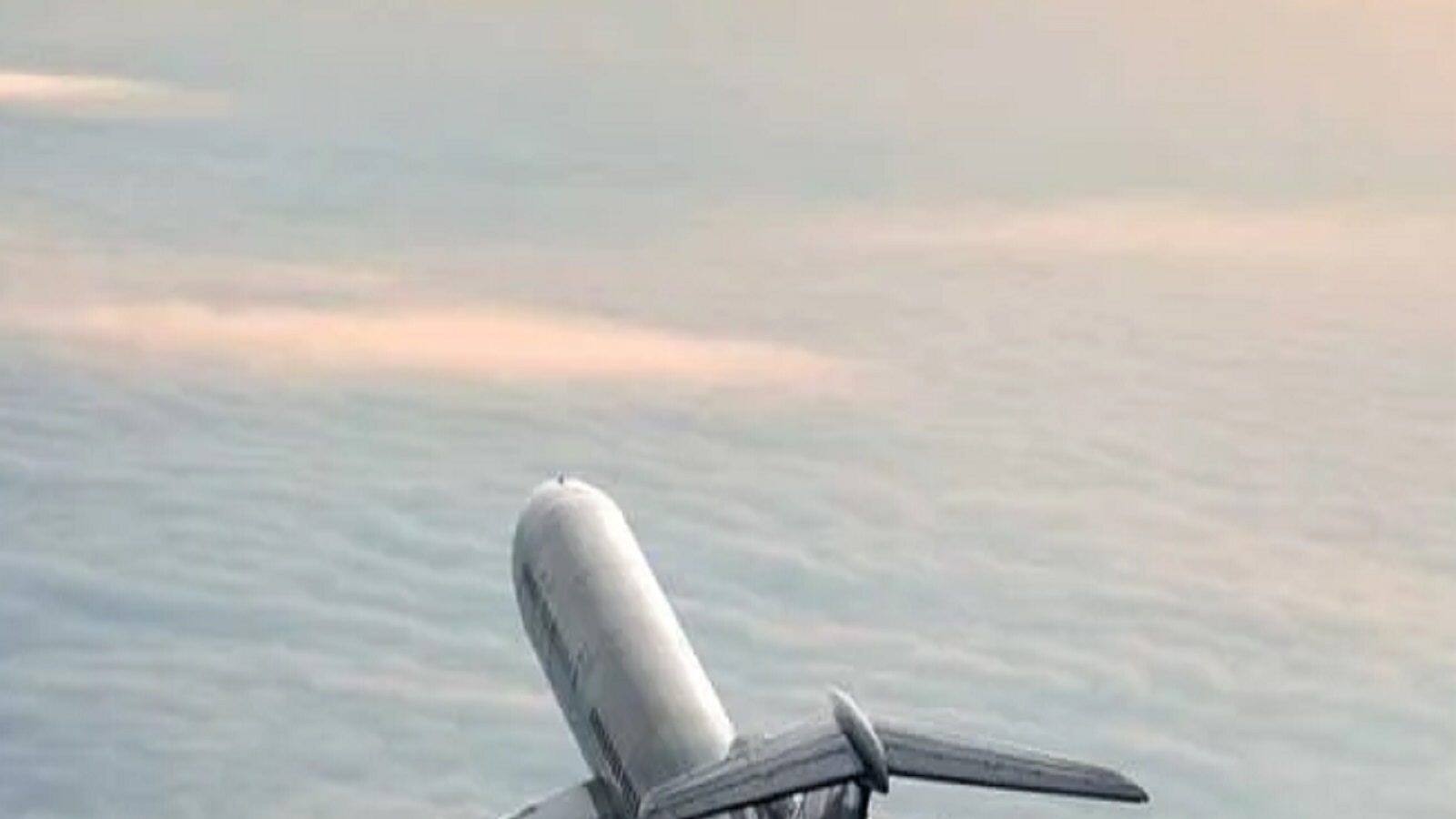 Plane Drops Human Waste On Man And His Garden: কী সাংঘাতিক ! বিমান থেকে ...