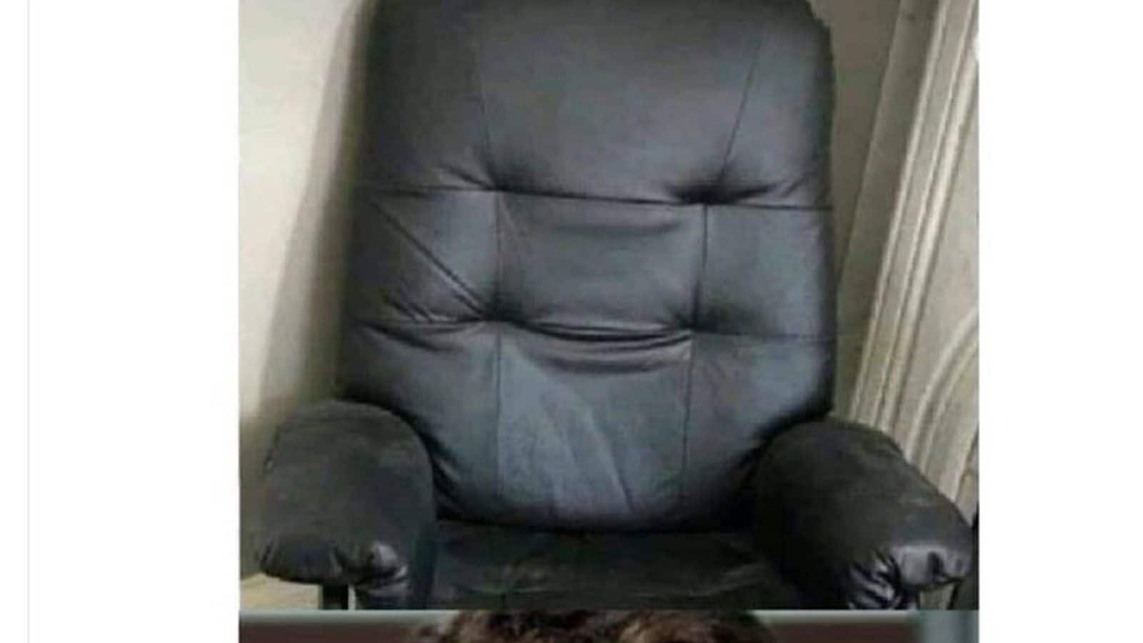 Shaheen Shah Afridi Look Alike Sofa: সোফার সঙ্গে মুখের মিল শাহিন ...