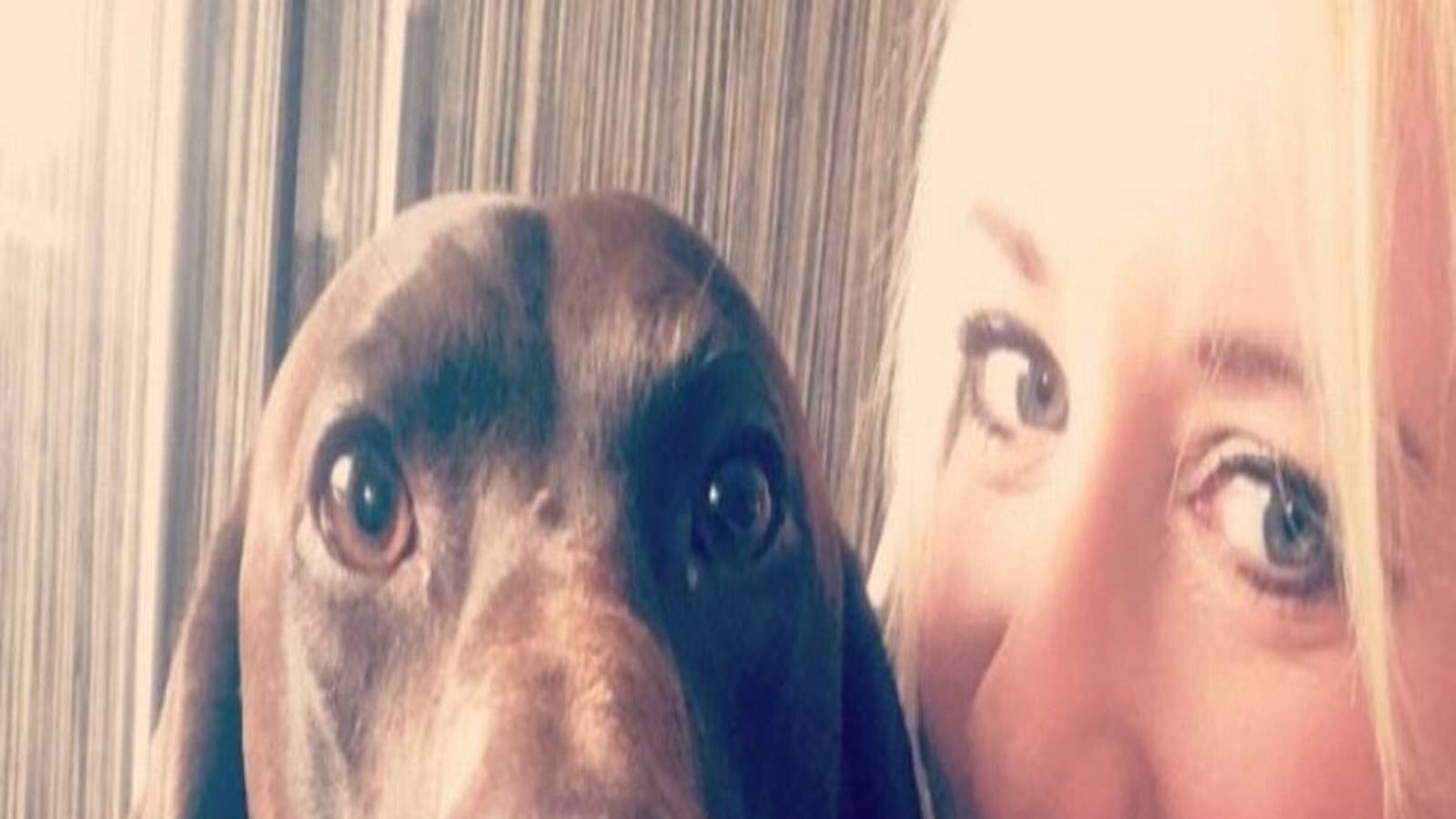 Woman Creates Dog woman-creates-dog