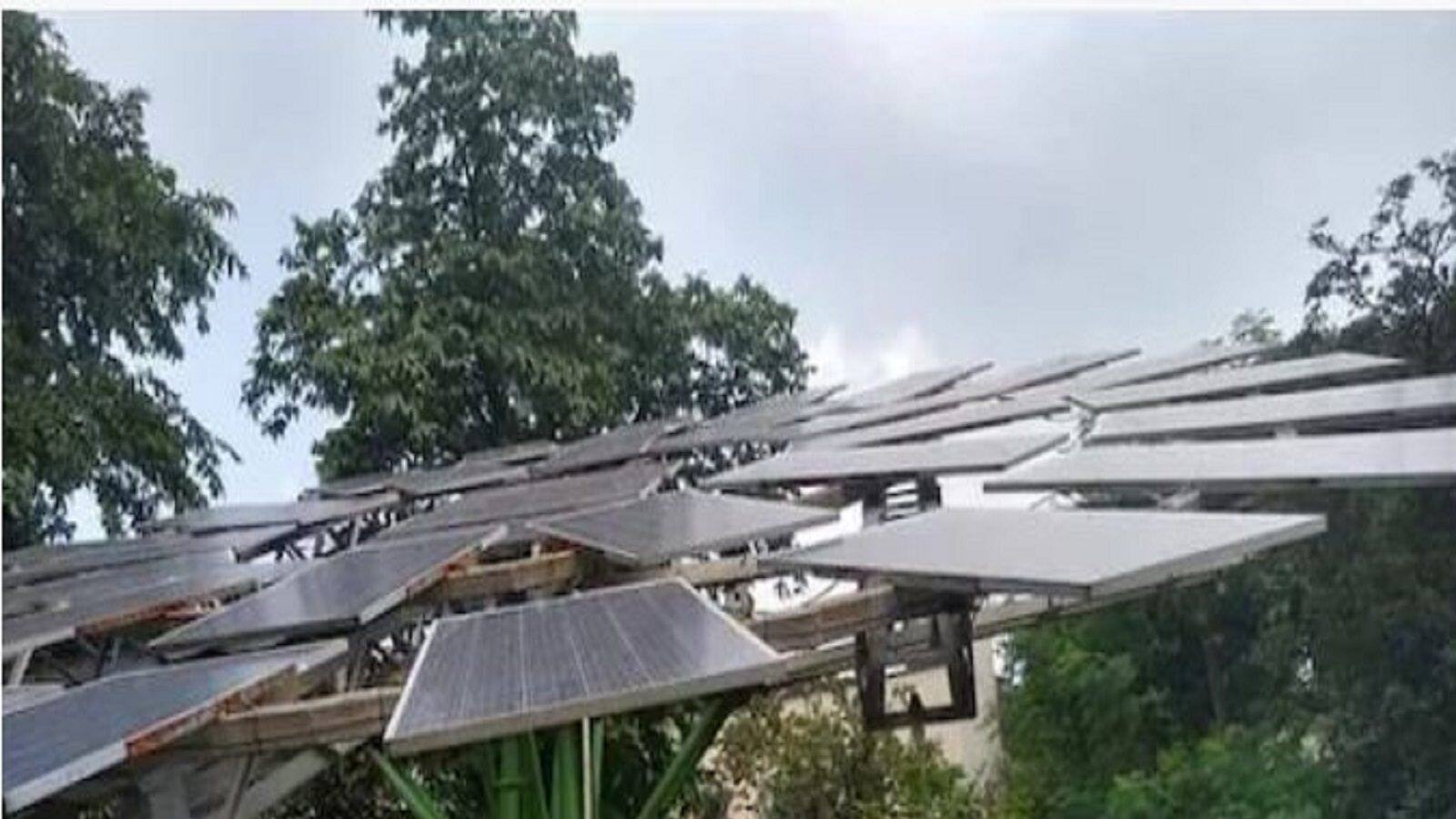 Durgapur: বিশ্বের সবচেয়ে বড় সোলার-ট্রি তৈরি করে গিনেস বুক-এ নাম তুলল ...