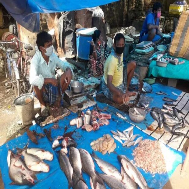 Fish Prices in Kolkata: রুই, কাতলা থেকে পাবদা, ভেটকি! সাতদিনে ...