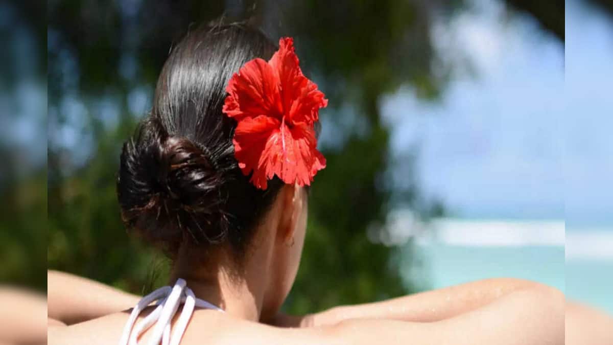 প্যাচপ্যাচে গ্রীষ্মে শরীরের গোপন অংশের যত্ন নেবেন কীভাবে! এক ঝলকে দেখে ...