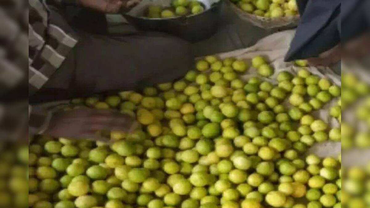Lemon Inflation: লেবুতে হাত দিলেই ছ্যাঁকা লাগছে মধ্যবিত্তের, হঠাত্ এতটা ...