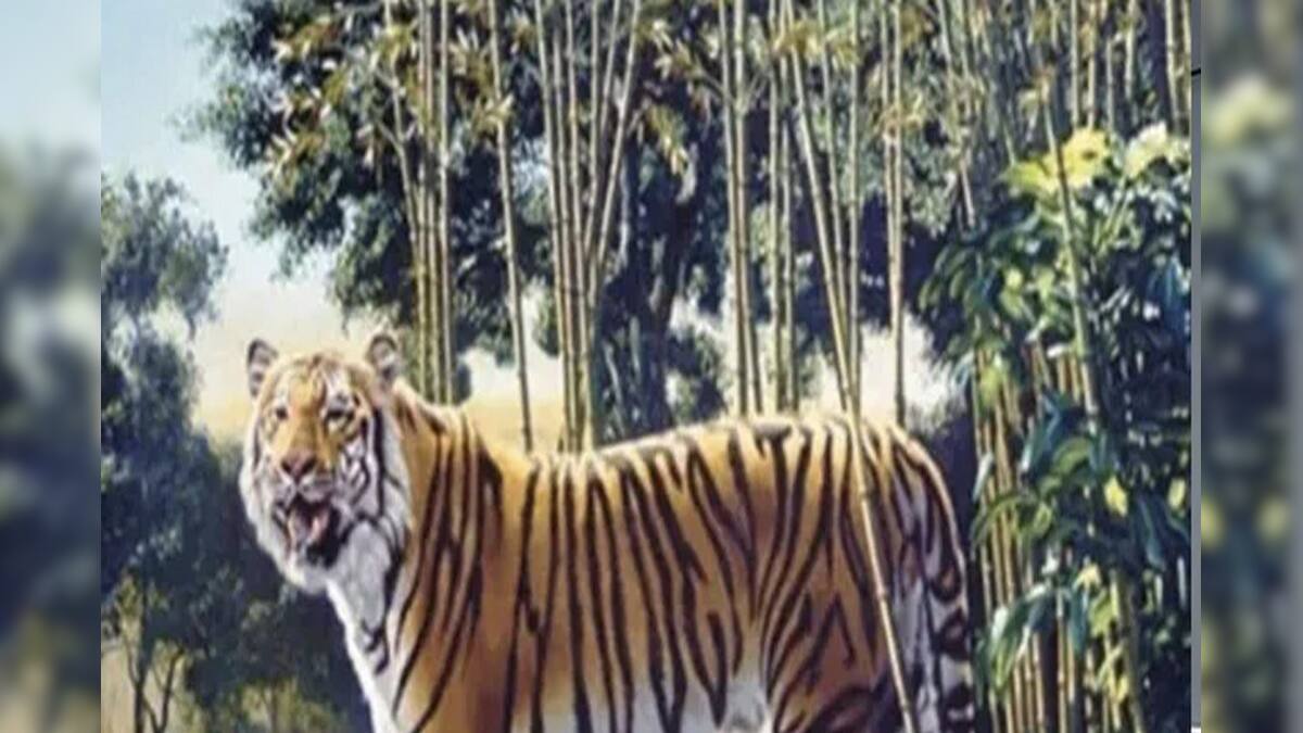 The Hidden Tiger Optical Illusion: ছবিতে রয়েছে দু'টি বাঘ! দ্বিতীয়টিকে ...