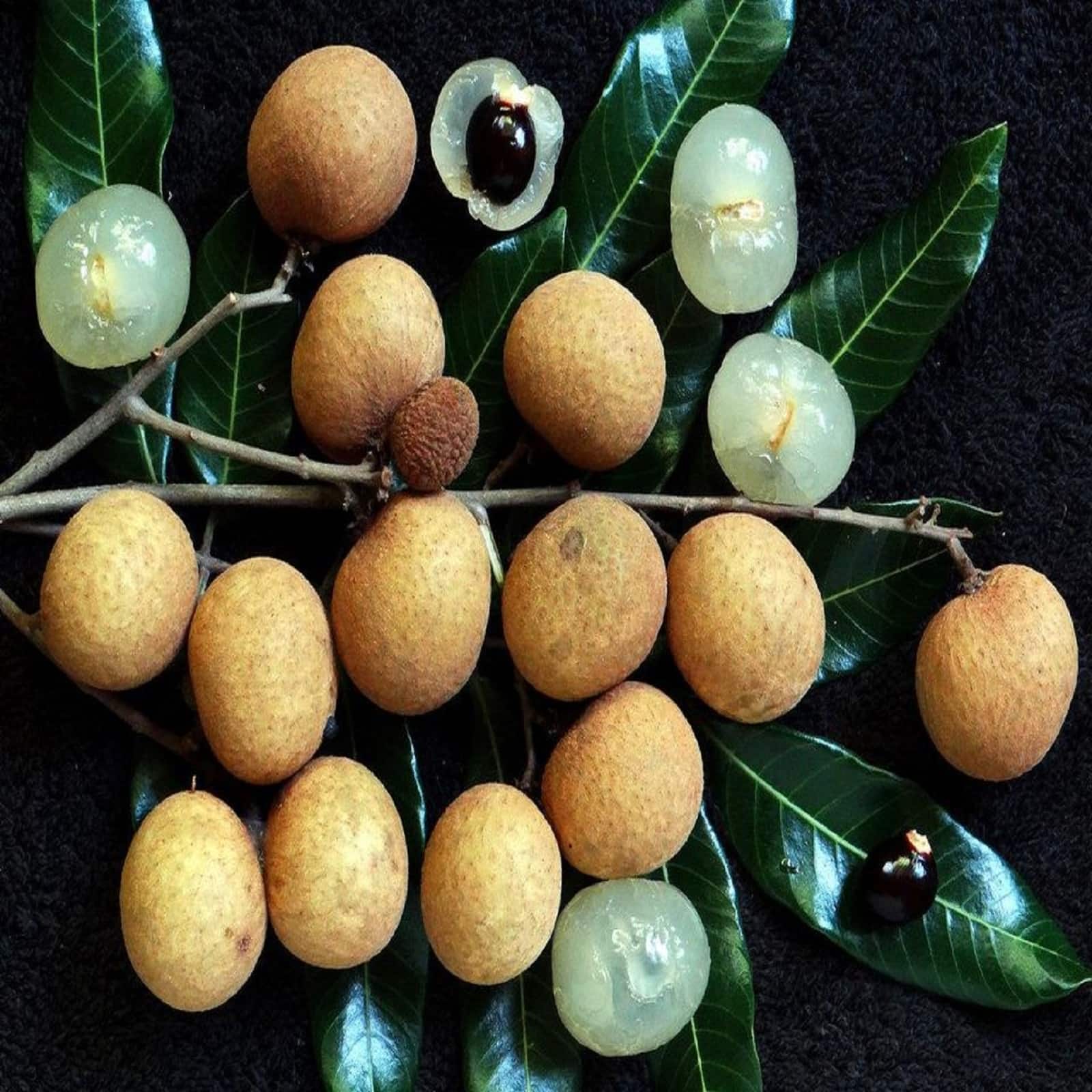 ফলে আঁশ নেই, তবুও নাম আঁশফল, english নাম বলতে মাথা চুলকাচ্ছেন ৯০% মানুষ ...