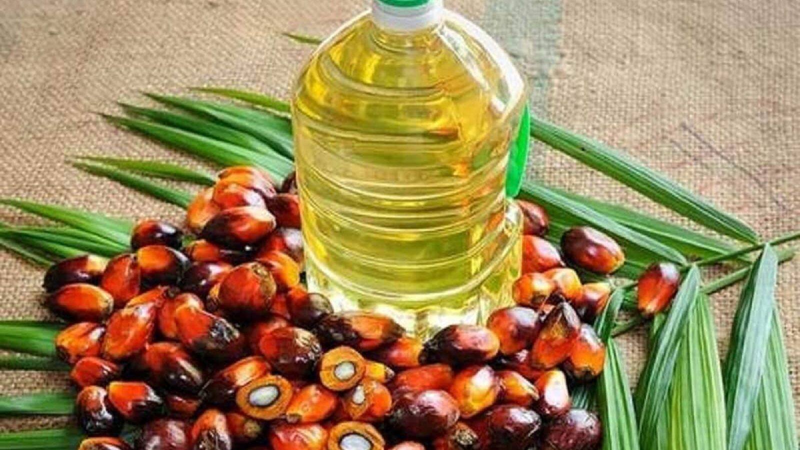 Cooking Oil: হুহু করে কমবে ভোজ্য তেলের দাম, কেন্দ্রীয় সরকারের কড়া ...