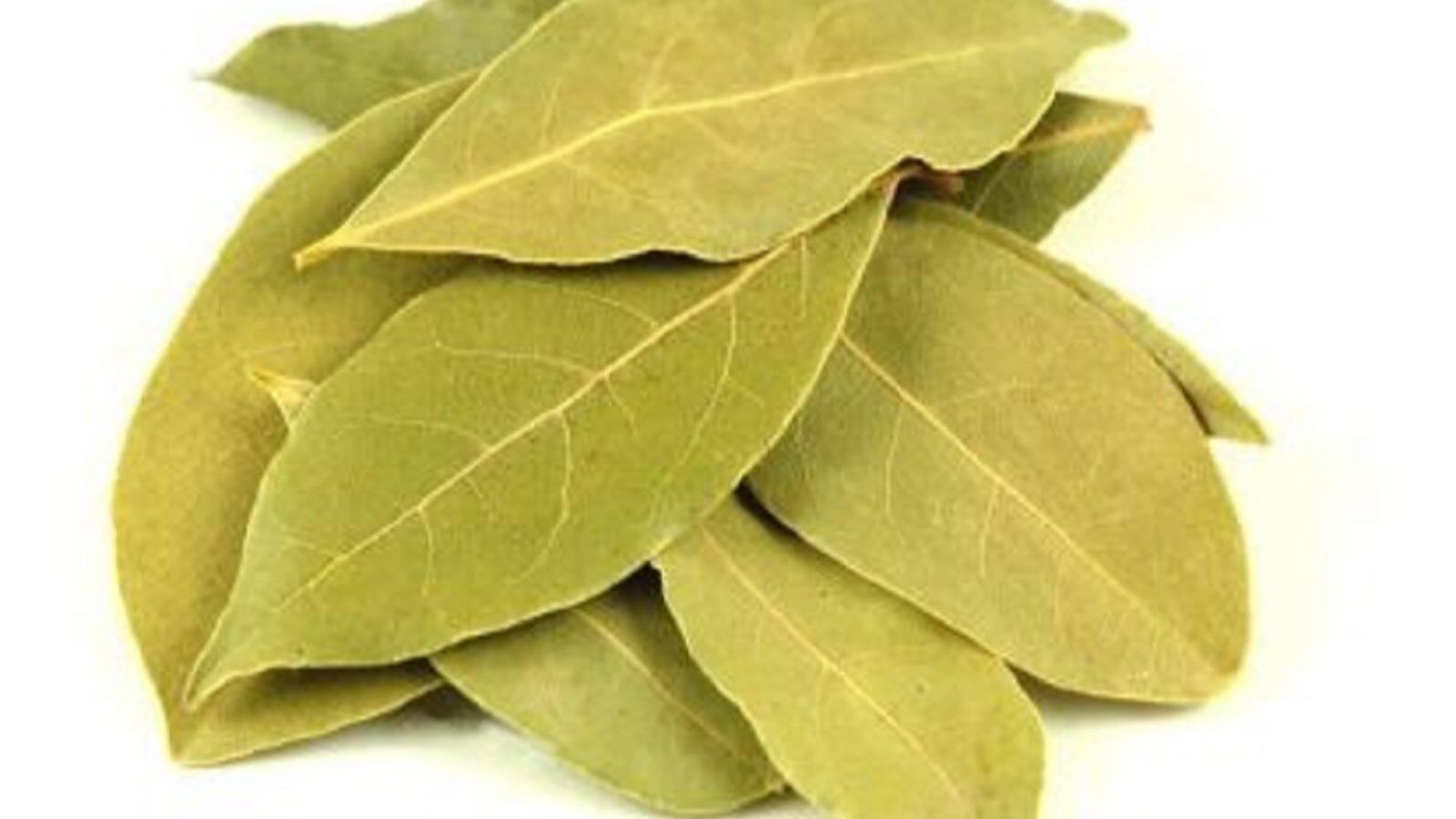 Tejpatta: পাতে তেজপাতা পড়লে ফেলে দেন, না করাই ভাল, কেন জানলে অবাক হবেন ...