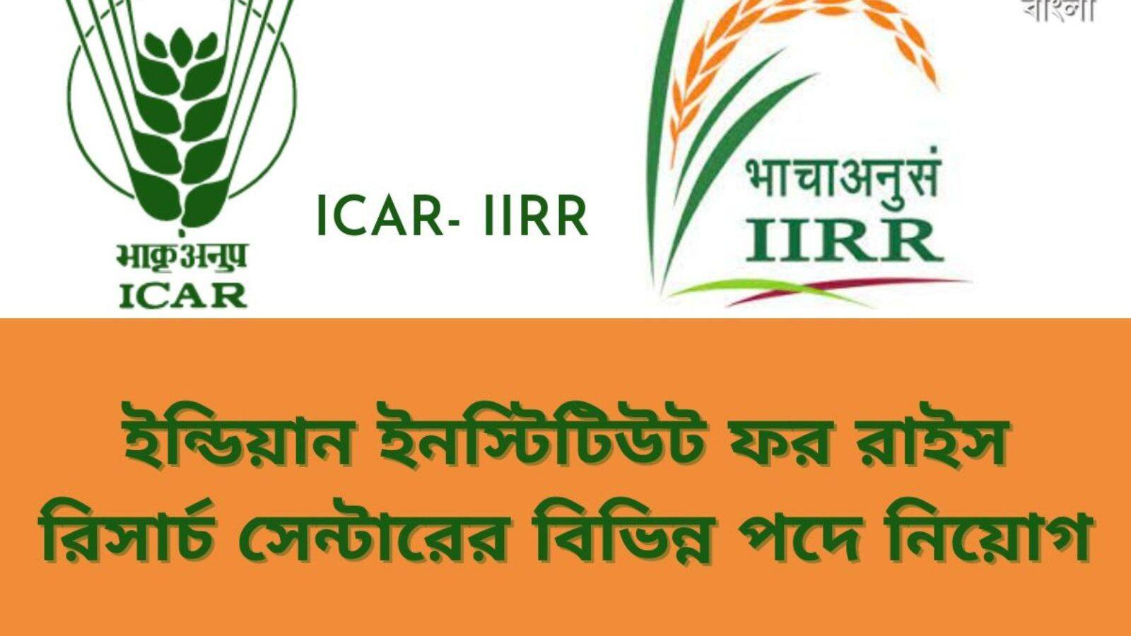 ICAR-IIRR Recruitment 2022: ইন্ডিয়ান ইনস্টিটিউট ফর রাইস রিসার্চ ...