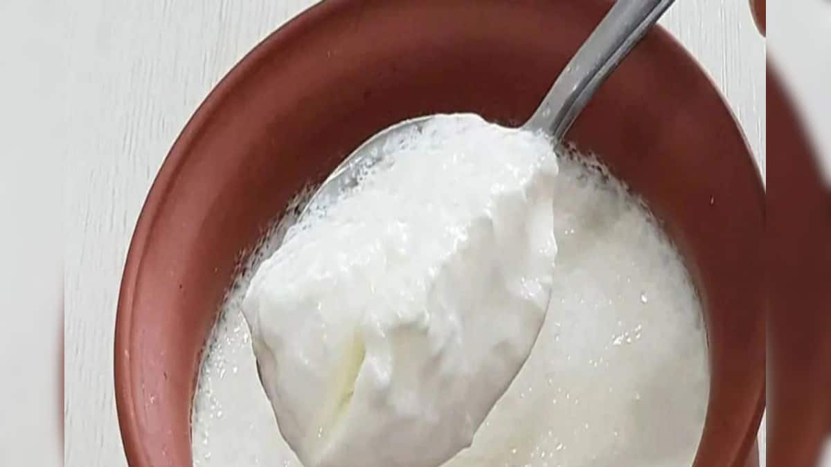 Doi Chini || Curd Sugar benefits: শুভ কাজের আগে কেন 'দই-চিনি' খাওয়ার ...