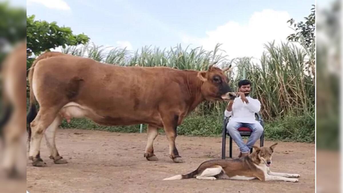 а а ѕа ѓа а їа а ёа ѓа а а а ѓа а ќа а ё а єа а ѓ а а ѓа а ѓа а а а а а ѓа а ёа а ќа а ђа а єа ќа а