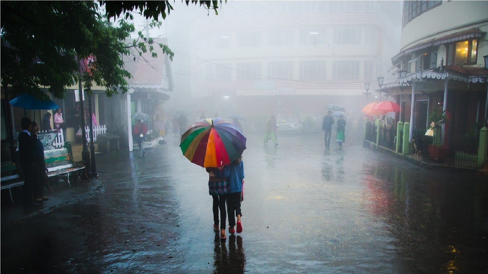 Rain Forecast | সোমবার থেকে বৃষ্টির পূর্বাভাস, কোন কোন জেলা ভাসবে শীতের ...