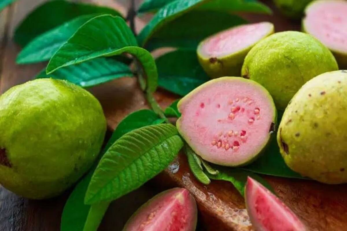 স্বাস্থ্য ও সৌন্দর্য বজায় রাখবে পেয়ারা পাতা! বহু কঠিন রোগেরও মহাষৌধ ...