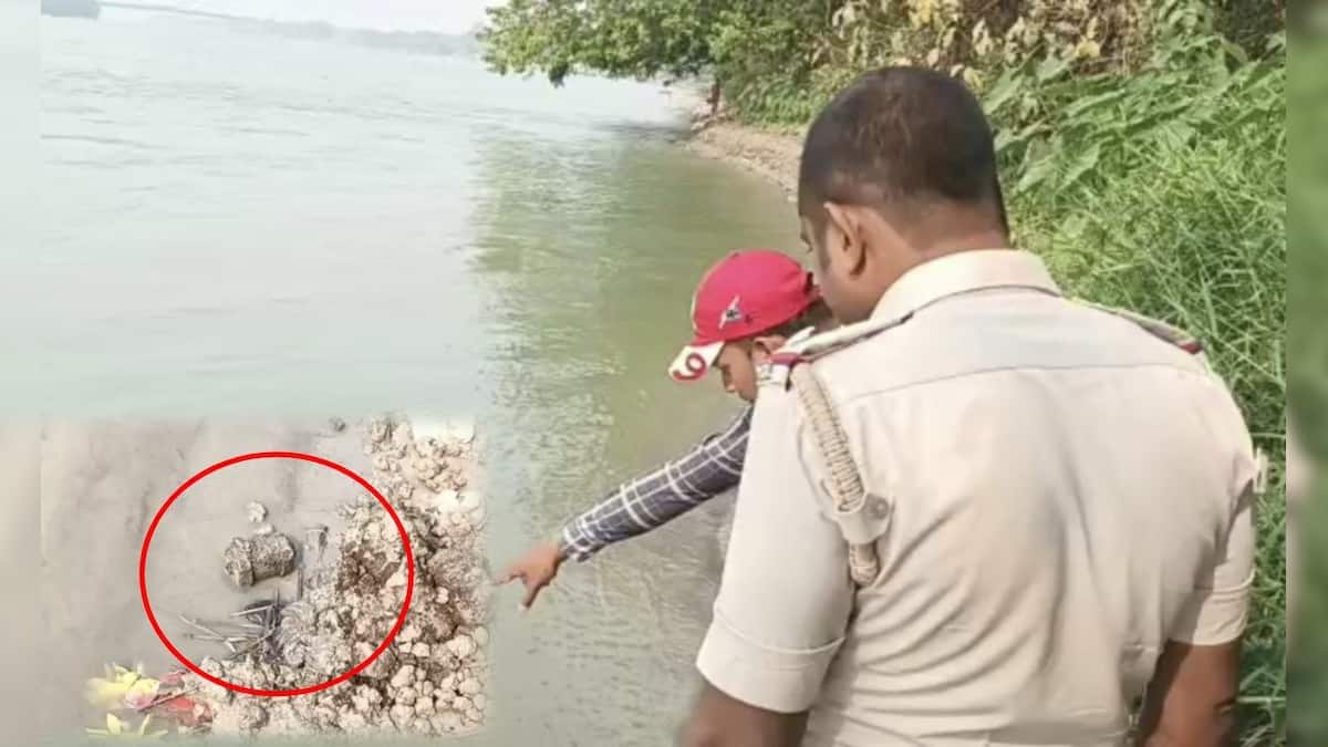 Murshidabad News: মুর্শিদাবাদ থেকে ফের উদ্ধার তাজা বোমা, পঞ্চায়েত ...
