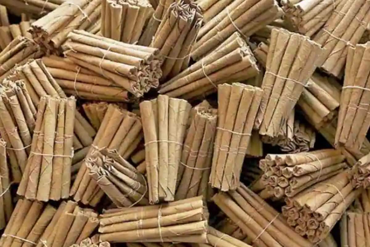 বিড়িকে ইংরেজিতে কী বলে, উত্তর জানেন না ৯০ শতাংশ, আপনি জানলে কেল্লাফতে ...